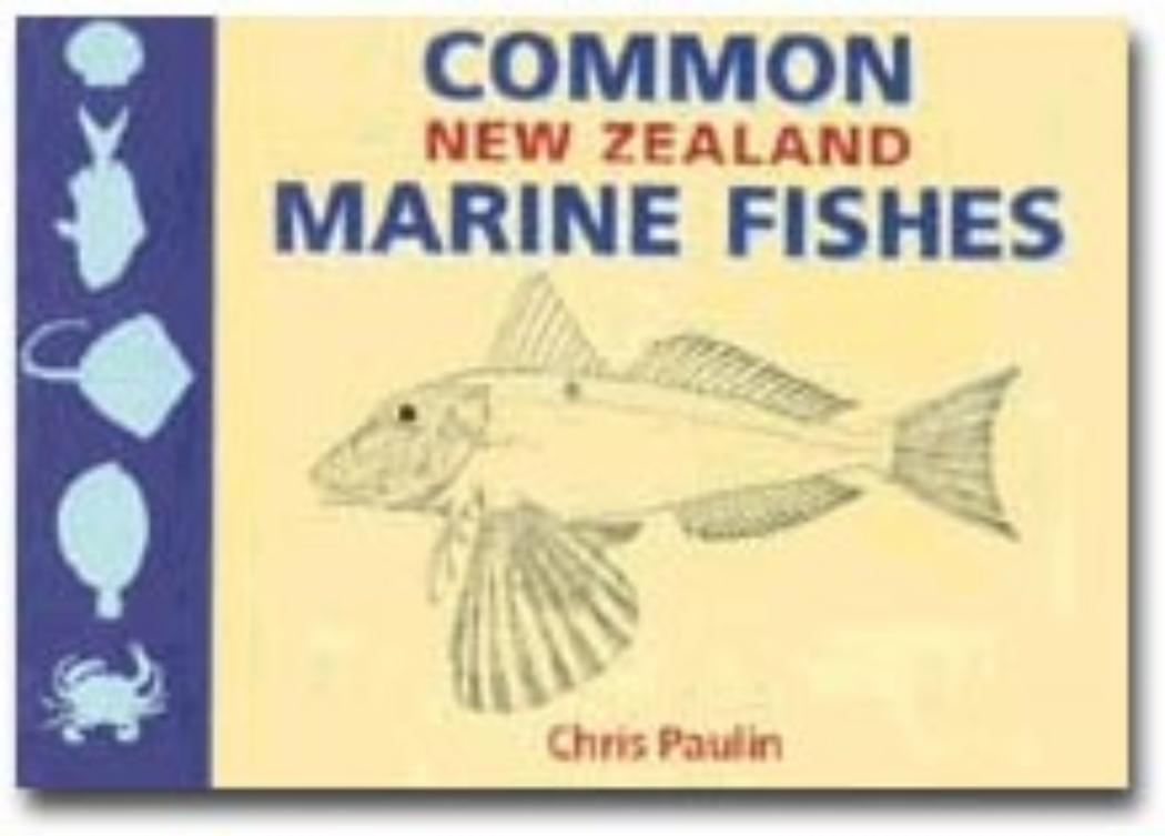 Common New Zealand Marine Fishes | UC